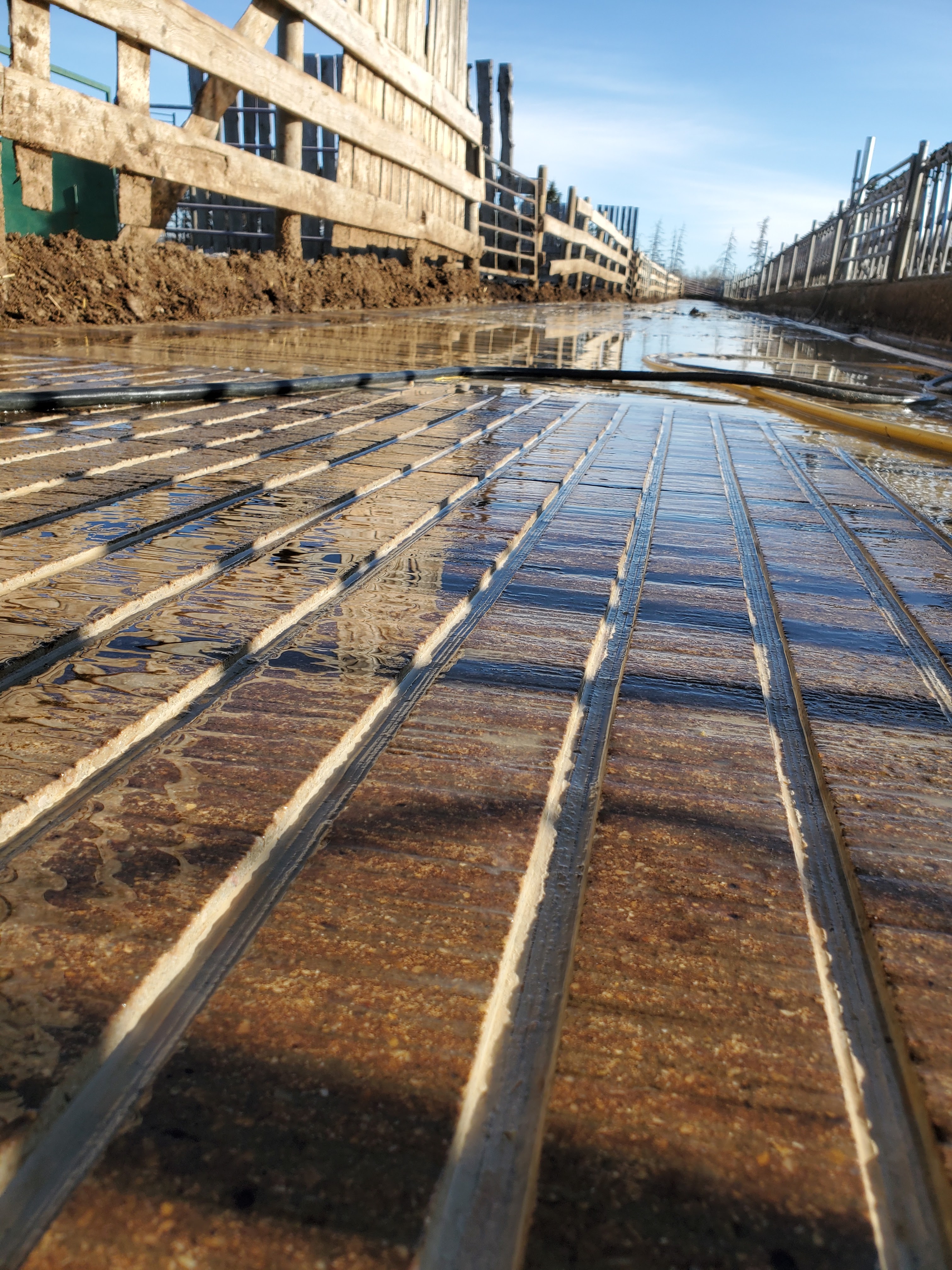 Trakcrete Canada | Barn Grooving-Bridge Deck Grooving-Livestock ...